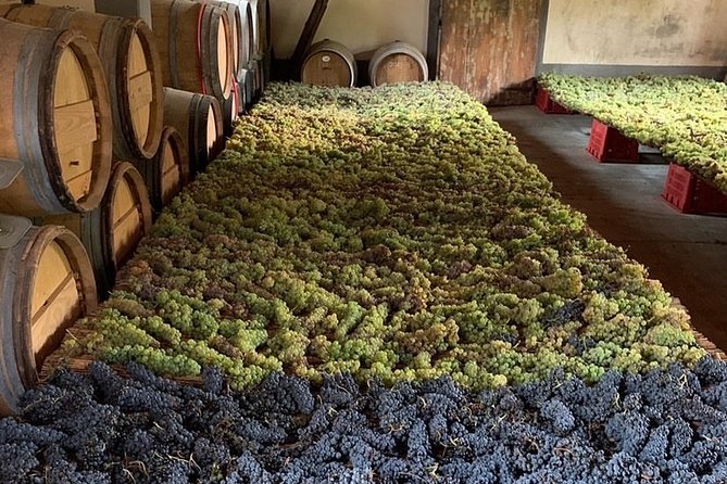 Chianti and San Gimignano - 2 Wineries with Pairing Lunch - An Authentic Slice of Tuscany: What the Tour Offers