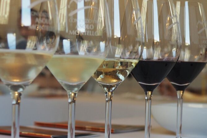 Chianti from Florence:PRIVATE Wine, Olive Oil Tasting in the Tuscan countryside - The Practical Details of the Tour