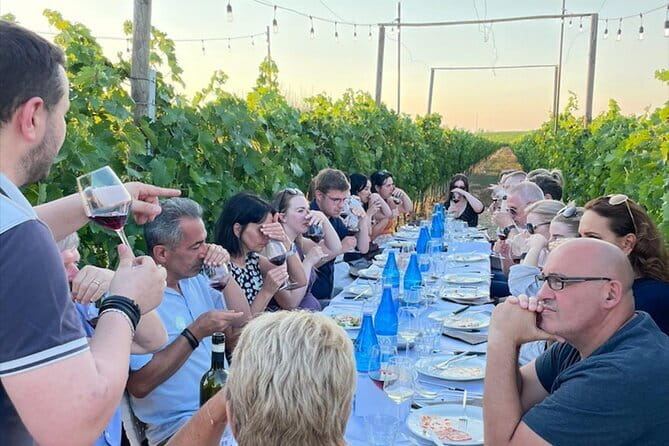 Chianti vineyards: Small-Group tour with wine tasting & Dinner - What Travelers Say
