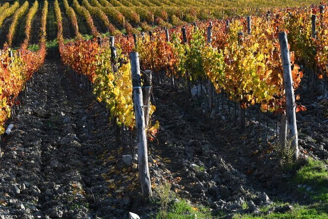 Chianti Wine Tour from Florence to San Gimignano with 2 Wineries - Discovering Florence’s Best Viewpoints