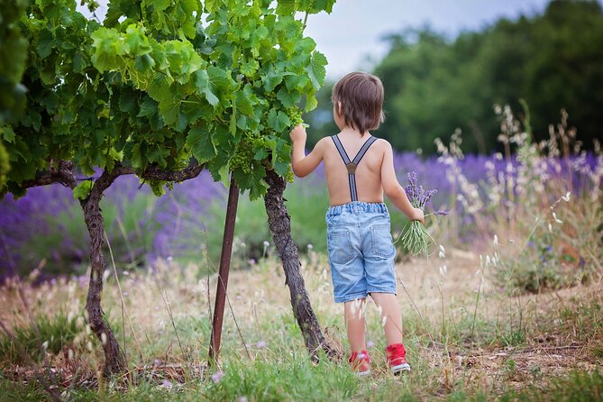 Chianti Wine Tour in Tuscany from Florence - A Deep Dive into the Tuscany Experience