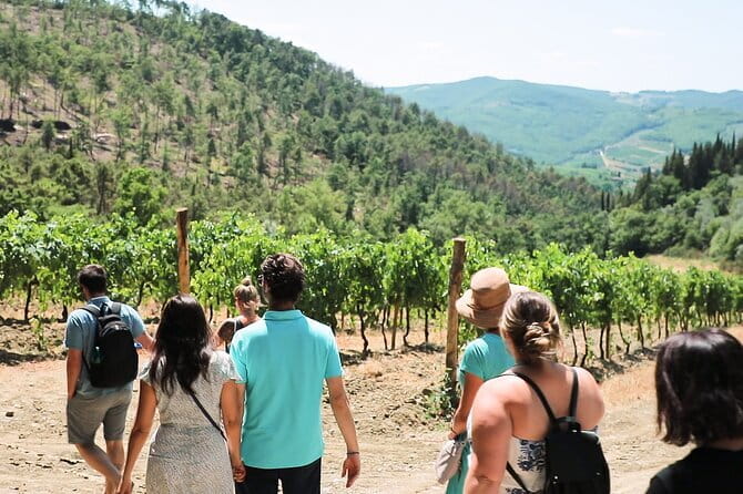 Chianti Wine Tour: Two Wine Tastings, Vineyards and Cellar Visit - Key Points