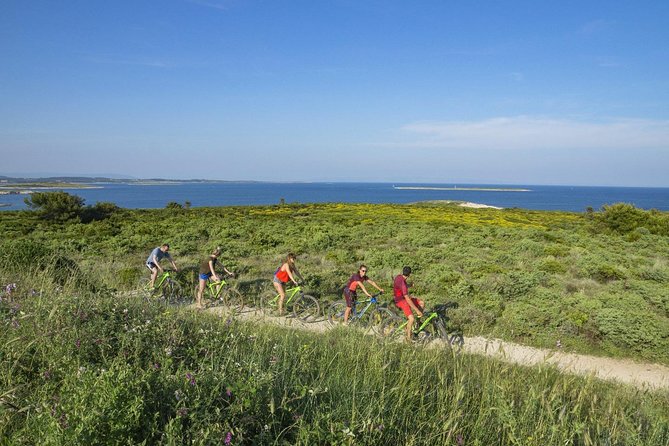 Chill Sunset Tour with E-Bike - What to Expect from This Sunset E-Bike Tour
