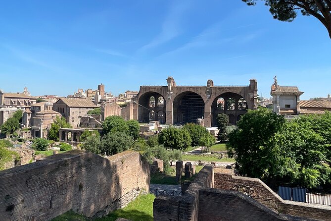 Colosseum Arena and Ancient Rome Private Tour - An In-Depth Look at the Tour Experience