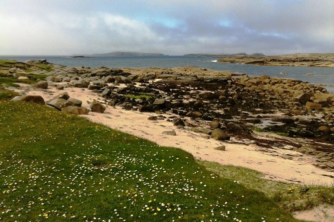 Connemara & Inishturk Island wildlife watching cruise. Private guided Full-day - Exploring the Connemara Coast by Boat