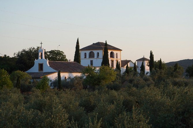 Cordoba Olive Oil mill, Wine, Passion - Practical Details