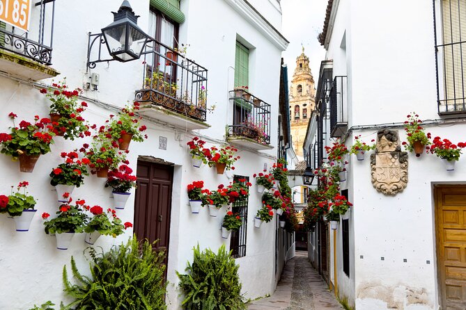 Cordoba Private Daytrip From Sevilla - Who Should Consider This Tour?