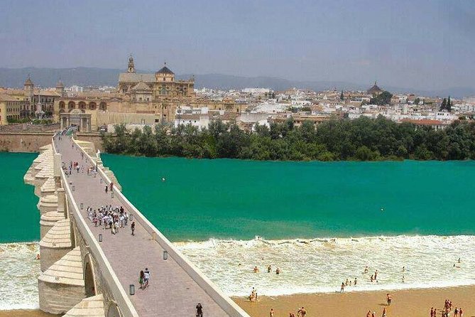Cordoba private tour from Granada for up to 8 persons including the great Mosque - The Itinerary Breakdown: What to Expect
