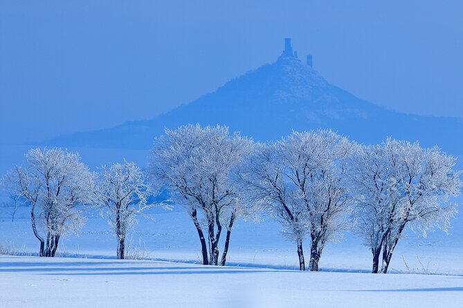 Cozy Winter Countryside Tour 4x4: Experience Authentic Bohemia - An authentic taste of Bohemia—what you’ll experience