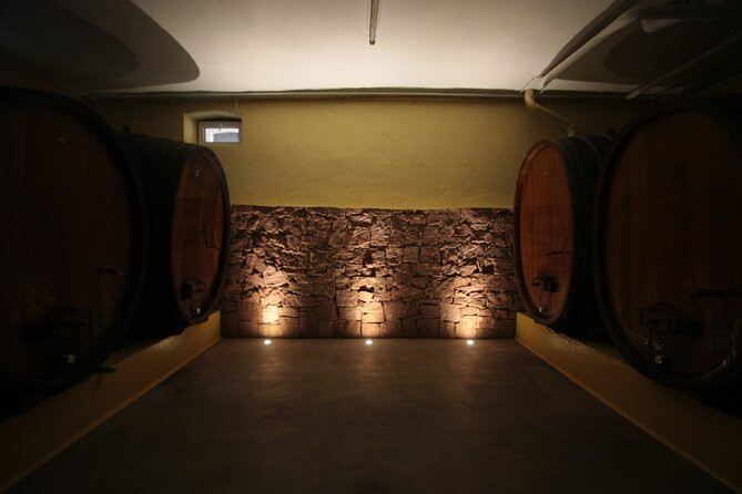 Crazy senses! - What to Expect from the Sensory Tour