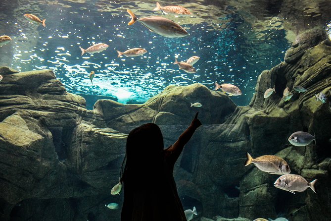 CRETAquarium Entrance Ticket in Crete - A Closer Look at the Experience