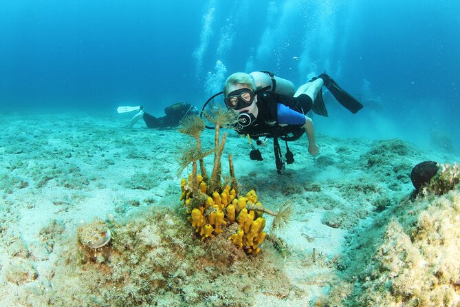 Crete-Chania: Snorkeling & Scuba Dive for Beginners by Boat - Key Points