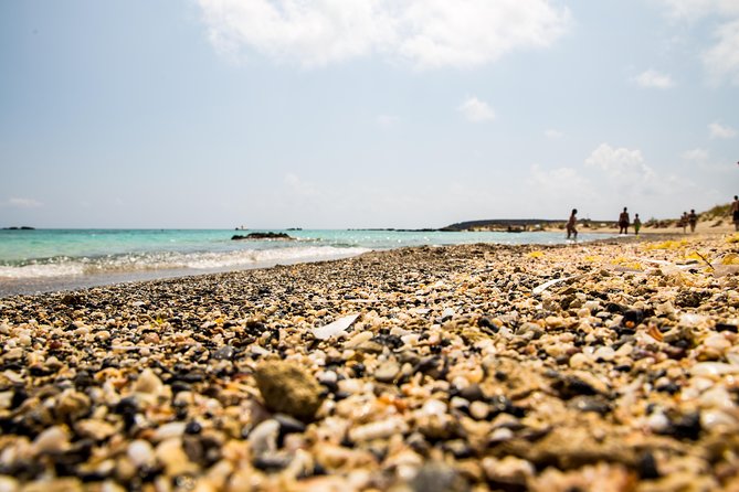 Crete: Elafonisi  4 hours in the beach - An In-Depth Look at the Tour Experience