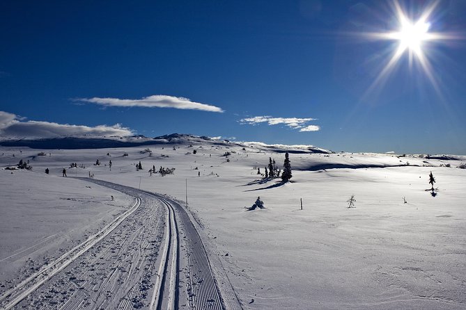 Cross-Country Skiing Guided Tour From Prague - Analyzing Value and Experience
