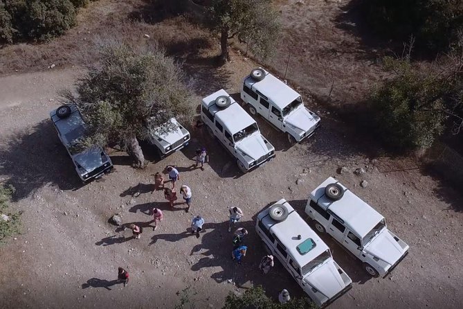 Cruise and 4X4 Safari Tour at Akamas Peninsula from Paphos - An Inside Look at the Tour Experience