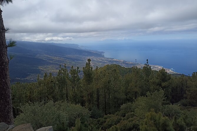 Custom Private Tenerife Volcano Car Tour - A Deep Dive into the Tenerife Private Volcano Tour