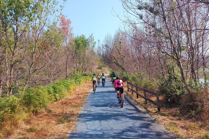 Cycling Ecopista do Dão One Way, full-day from Coimbra - Final Thoughts: Is This Tour Worth It?