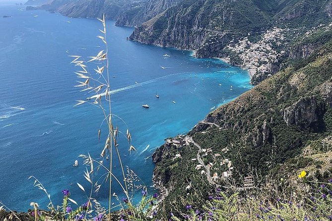 Daily Excursion Full Day 8 Hours ( Amalfi Ravello Pompei) - What the Tour Offers