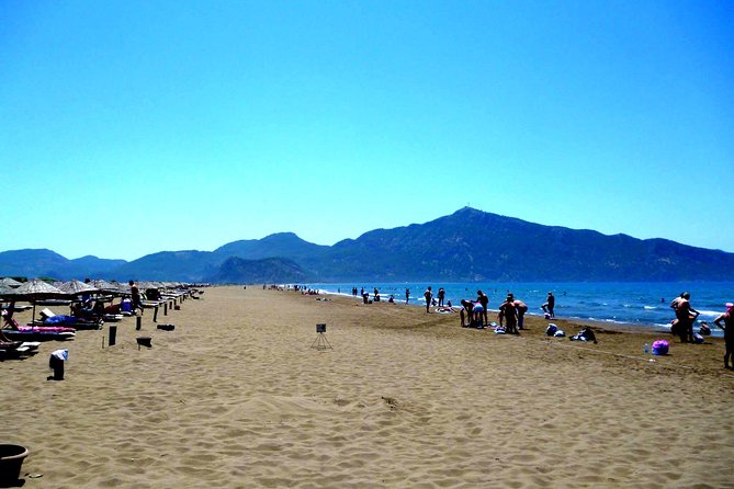 Dalyan Classic Boat Trip From Dalyan include Transfers - A Detailed Look at the Dalyan Classic Boat Trip