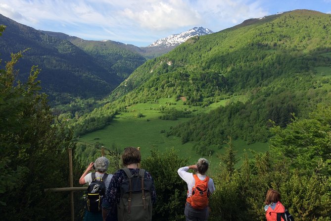 Day Tour to Mirepoix, Montségur, Camon. Private tour from Carcassonne - A Detailed Look at the Tour Experience