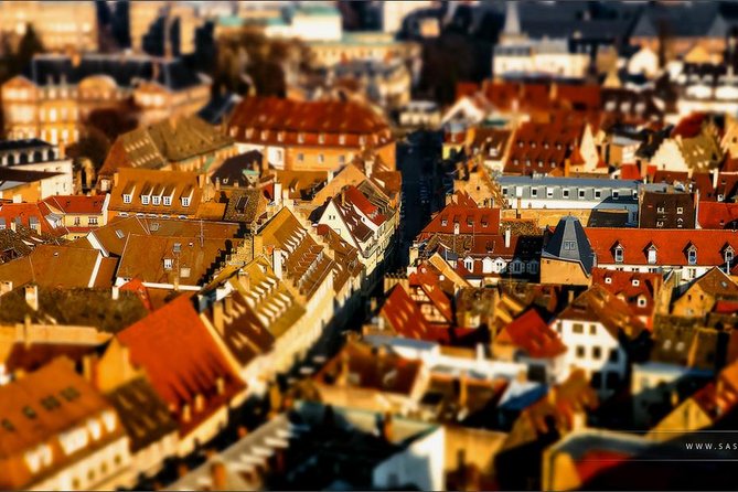 Day trip from Baden-Baden to Strasbourg - Why Choose a Day Trip to Strasbourg?