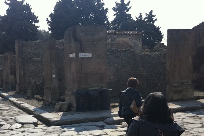 Day trip from Rome to Pompei Mt Vesuvius & Local Guide included - Key Points