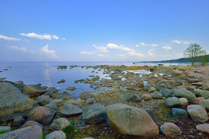 Day Trip to Lahemaa National Park - What Reviewers Are Saying
