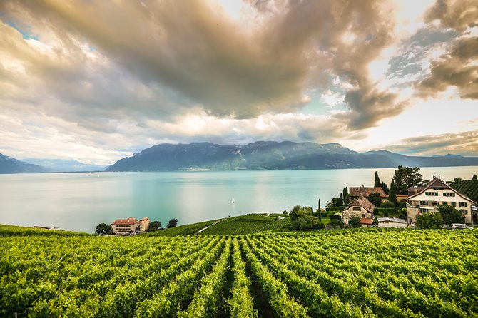 Day Trip to Montreux, Chaplin's World & Chillon Castle& apéritif - An In-Depth Look at the Itinerary