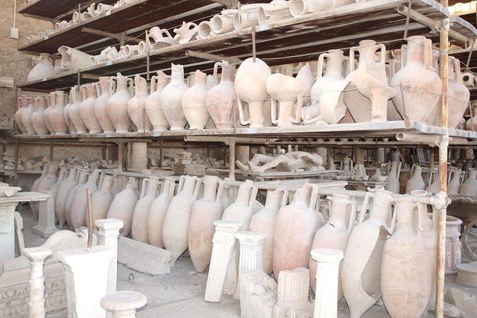 Day Trip to Mount Vesuvius & Pompeii Ruins from Rome - Private Tour - Key Points