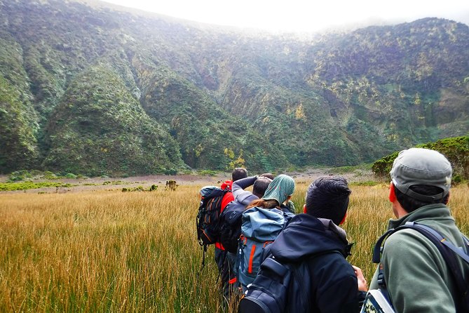 Descent to Caldeira do Faial - The Perfect Adventure - An In-Depth Look at the Caldeira Descent Experience