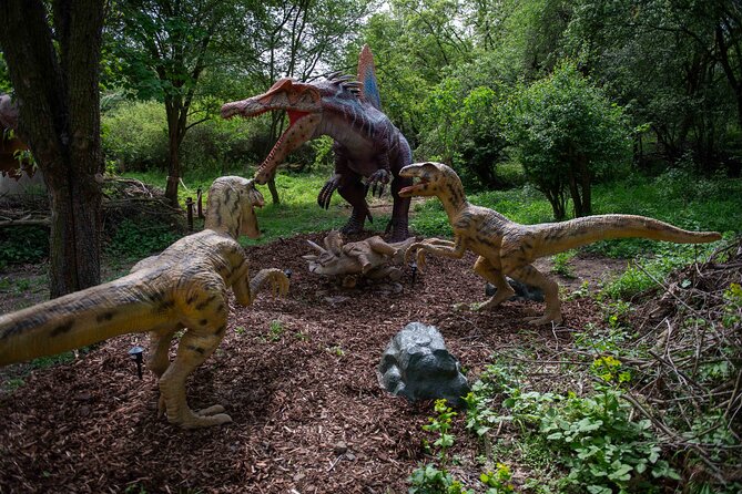 Dinosaurus amusement park - best dino experience in Prague - Visitor Insights and Authentic Perspectives
