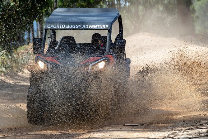 Dirt and Dust Tour by Oporto Buggy - What is the Dirt and Dust Tour?