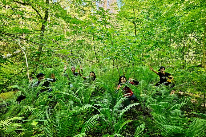 Discover Best Of Gauja National Park In One Day - An Introduction to Gauja National Park Tour