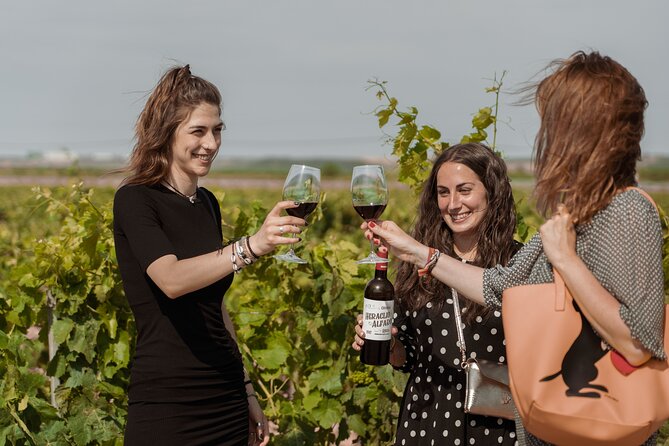 Discover La Rioja: Guided Winery Tour & Wine Tasting - Location and Setting: A Winery in Alfaro