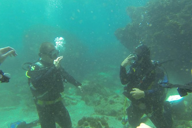 Discover scuba diving - What to Expect on Your Discover Scuba Experience