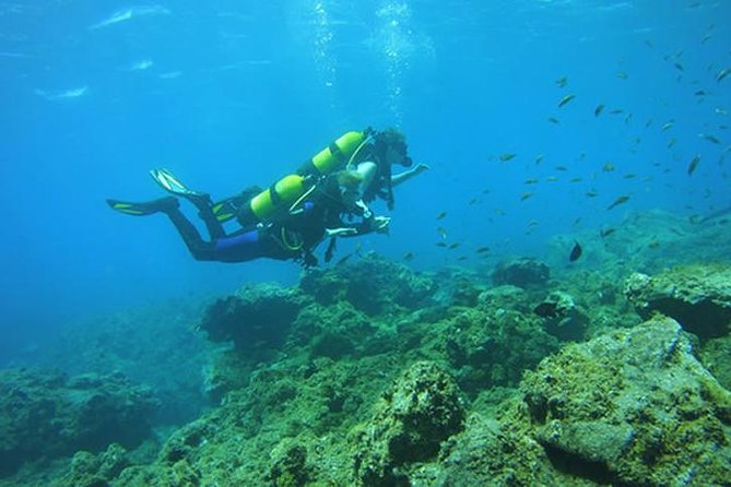 Discover Scuba Diving - The Dive Site and Its Highlights