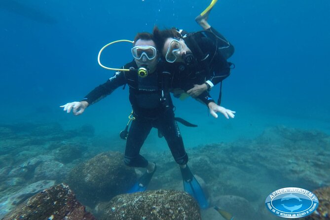 Discover Scuba Diving in Tenerife - The Experience’s Highlights and Unique Features