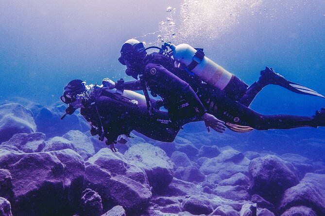Discover Scuba Diving, Tenerife. Photos and videos included - Why This Dive Tour Stands Out