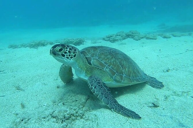Discover SCUBA Diving with Pissouri Bay Divers - What the Tour Is All About