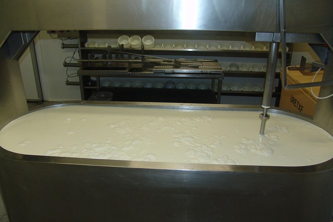 Discover the Art of Idiazabal Cheese in the Basque Country - A Closer Look at the Itinerary