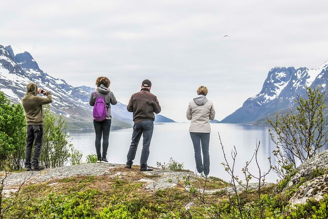 Discover the Fjords of Kvaloya - a roadtrip along fjords and fishing villages - Wildlife Watching and Nature Encounters
