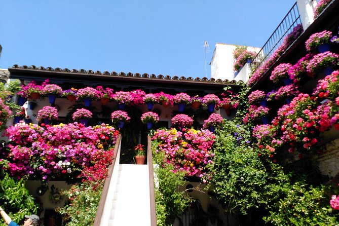 Discover the Patios de Córdoba: guided tour - The Practicalities