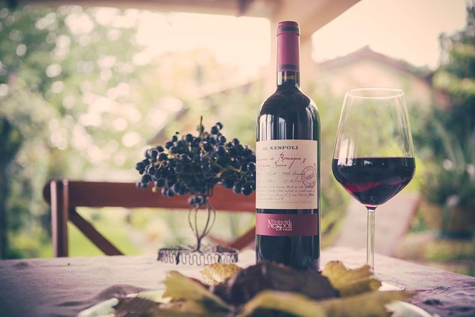 Discover the wine producers of Emilia Romagna - Key Points