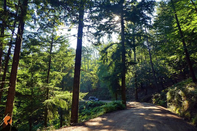 Discovering Nature in Serra da Lousã - Discovering the Natural and Cultural Riches of Serra da Lousã