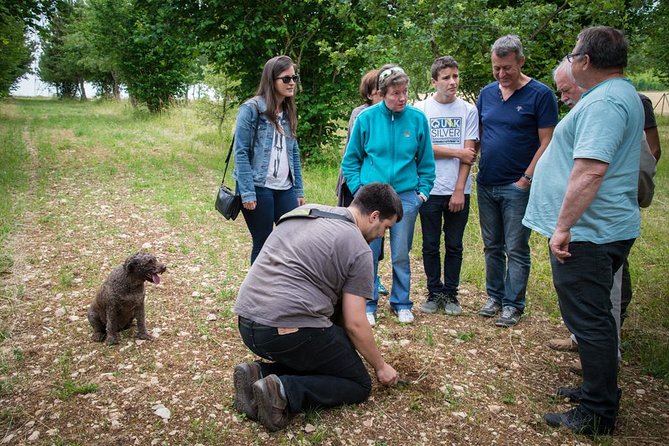 Discovery of the world of Truffles and tasting - Key Points
