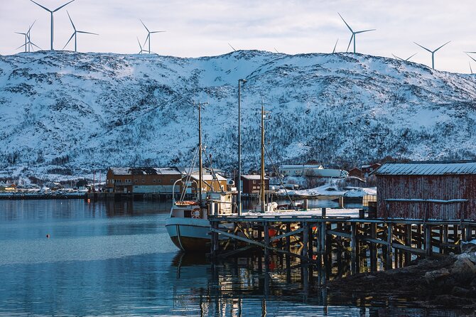 Discovery tour of the island of Senja and Kvaløya from Tromsø - Exploring the Itinerary: What You Can Expect