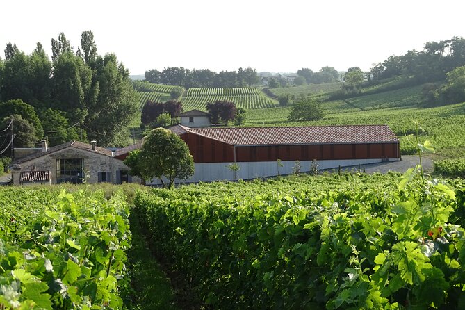 Discovery visit of Château Rol Valentin with tasting - What to Expect from the Château Rol Valentin Experience