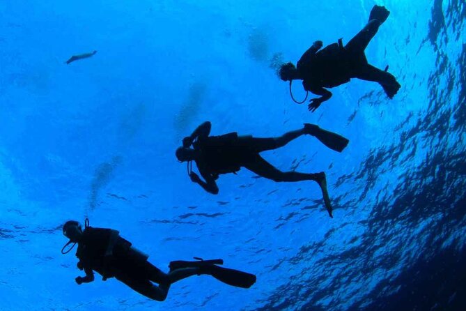 Diving baptism in the Marine Reserve of Cabo Tiñoso - Itinerary Breakdown
