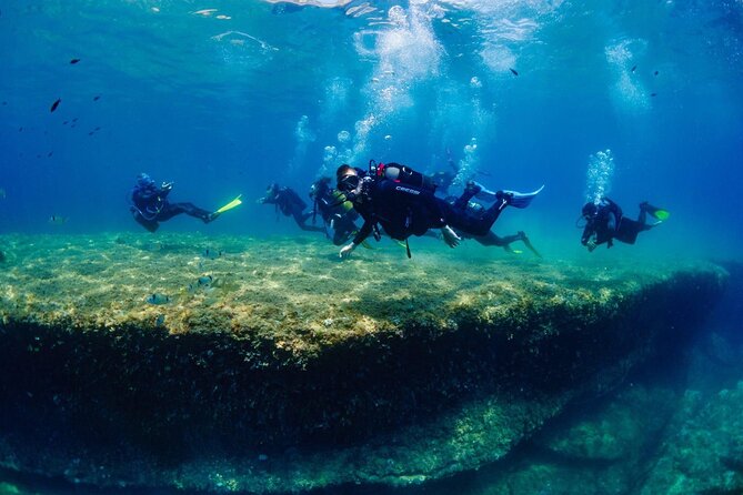 Diving Course with PADI Certification in Costa Brava - Introduction: What Makes This Diving Course Worth Considering?