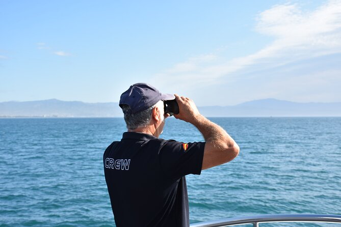 Dolphin Sightseeing Boat Tour from Benalmadena - An In-Depth Look at the Dolphin Sightseeing Tour
